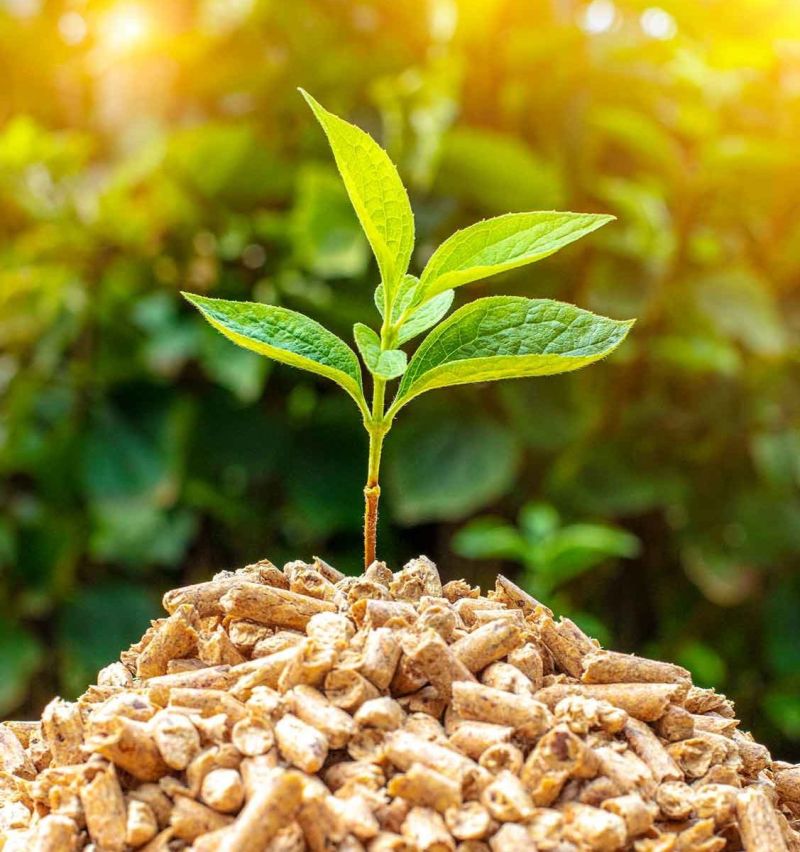 Bioenergy Basics - RB Energies