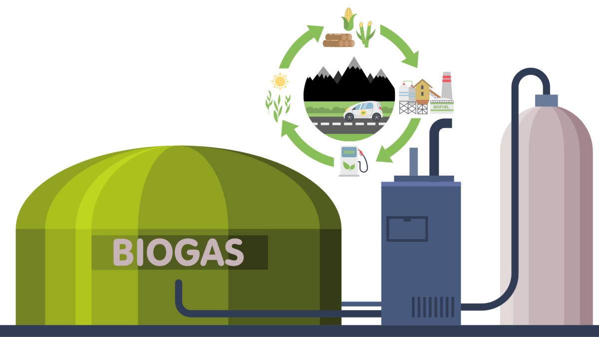 Bioenergy - RB Energies