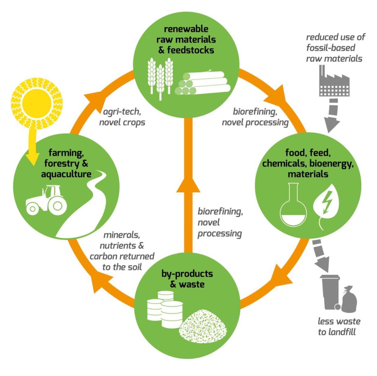 Bioenergy - RB Energies
